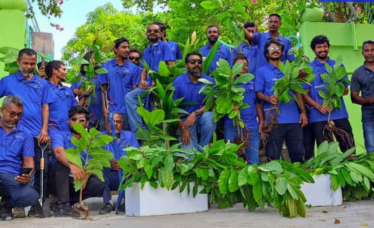 Stelco plants over 50,000 trees under ambitious five million trees...