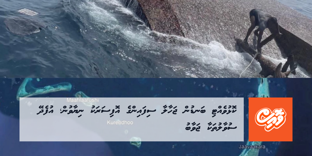 kolhu vetti bandun jahaalaa sifainge meehaku niyaavun; ufedhey suvaaluthakaa javaabu